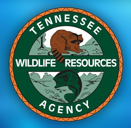 TWRA Withdraws License Fee Increase, Boat Registration Fees Will ...