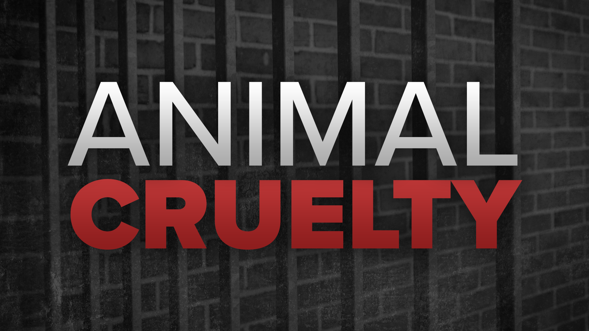 Investigation Launched into Allegations of Animal Cruelty at Whitwell ...
