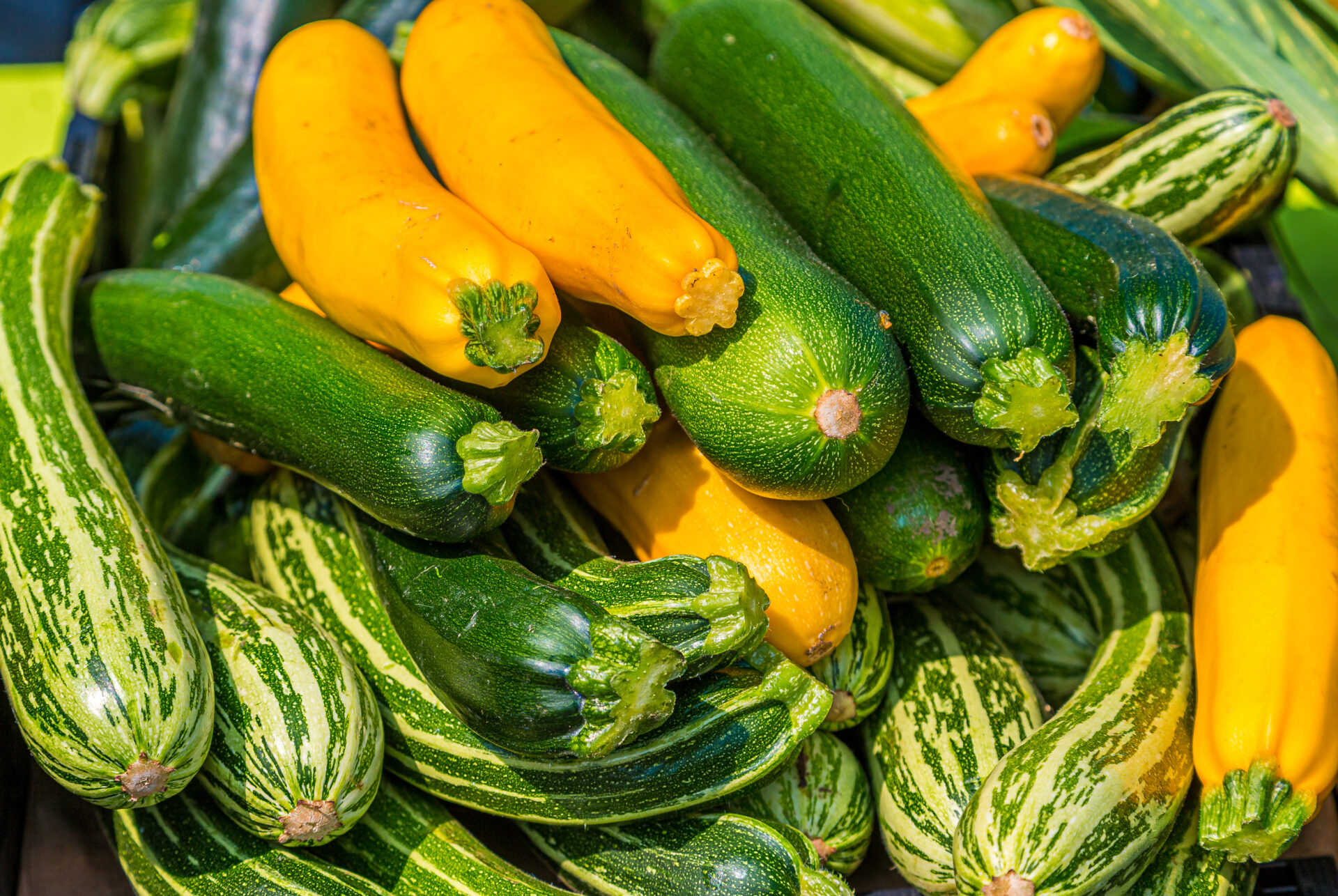 COOKING: Drowning in squash and zucchini? It’s PIE time! (BLOG ...